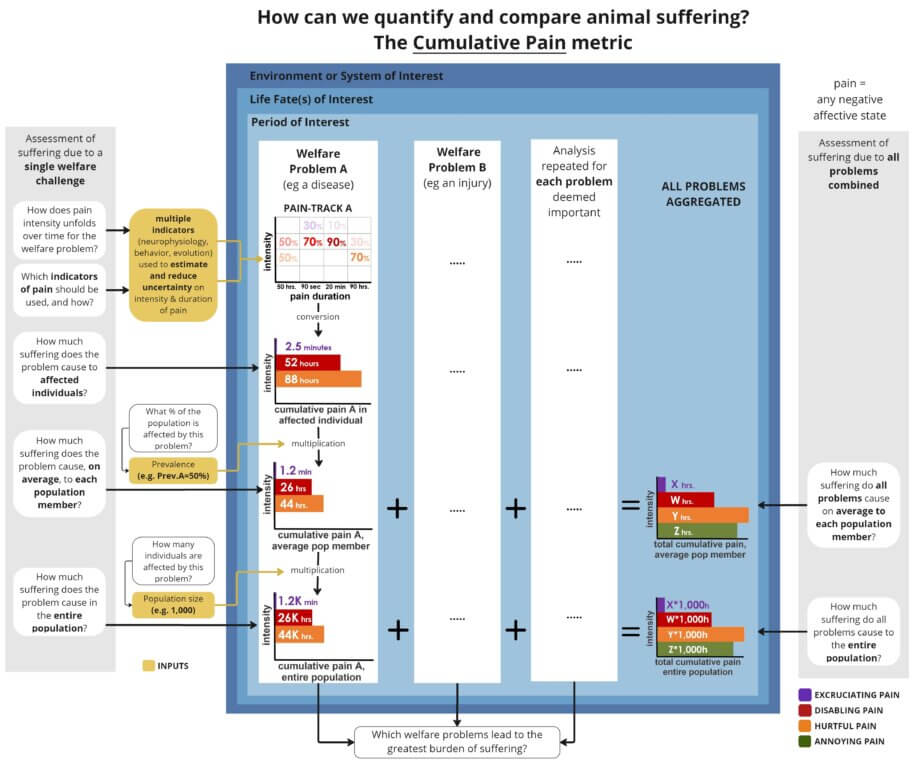 Cumulative Pain and Wild Animal Welfare Assessments - Welfare Footprint ...