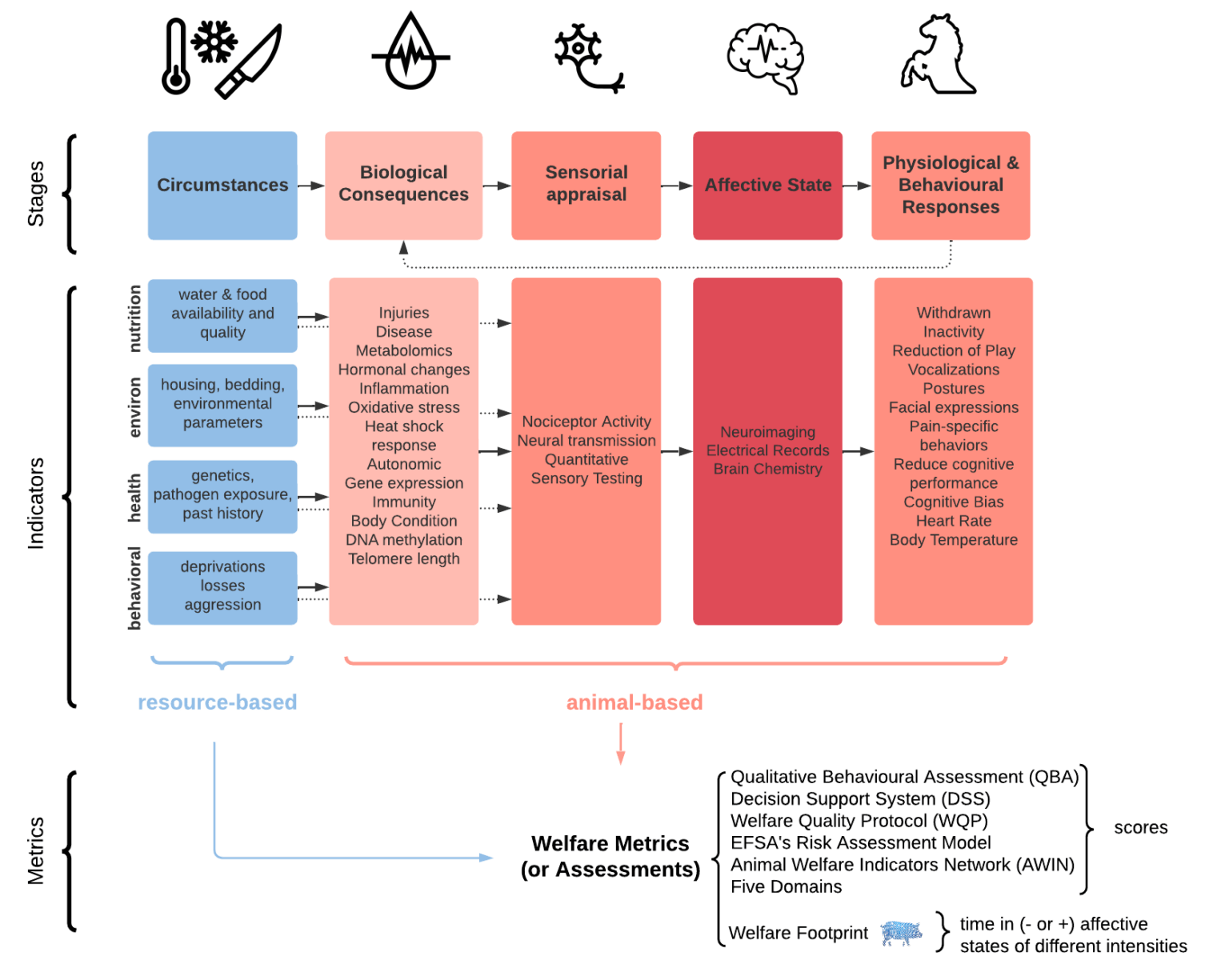 Technical Definitions - Welfare Footprint Institute